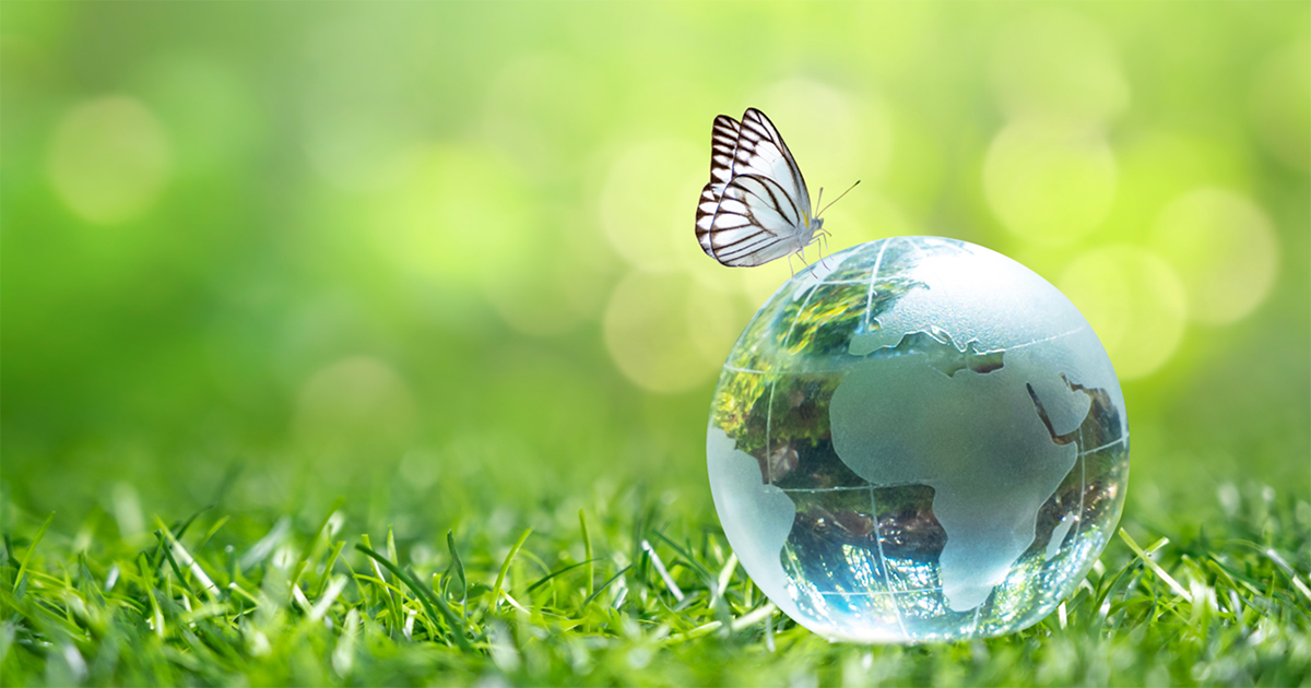 SSBJとは？NEC自身の情報開示準備から分かってきたこと | NEC