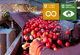 SDGs達成に貢献するNECの取り組み: 企業情報 | NEC