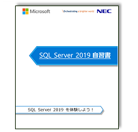 トピックス: RDBMS Microsoft SQL Server | NEC
